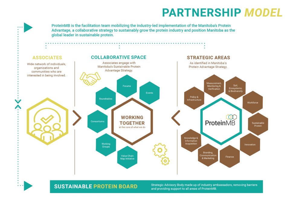 Who We Are - ProteinMB